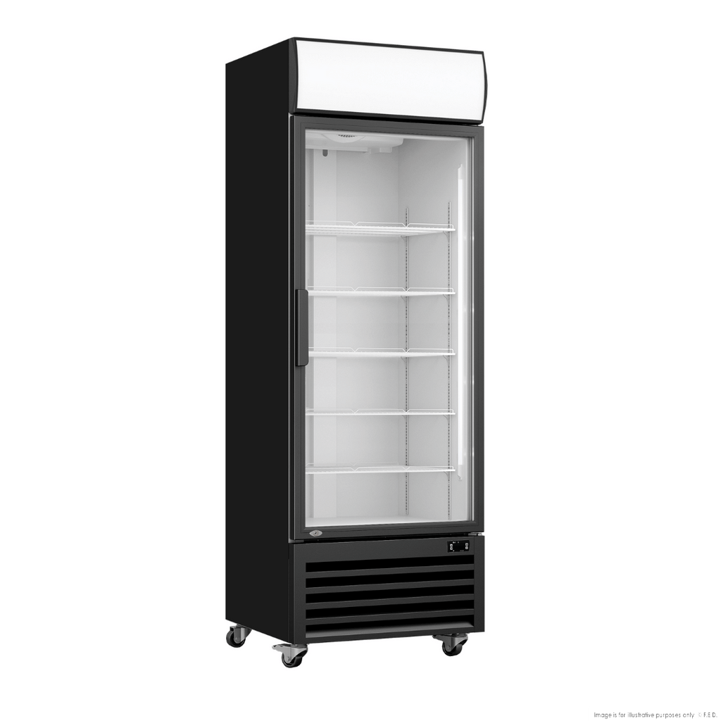 Thermaster Single Glass Door Colourbond Upright Drink Fridge - LG-370B